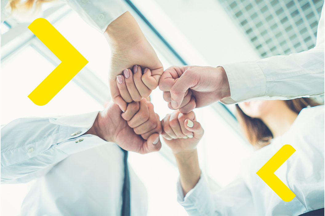 Mbi 100 Partner
